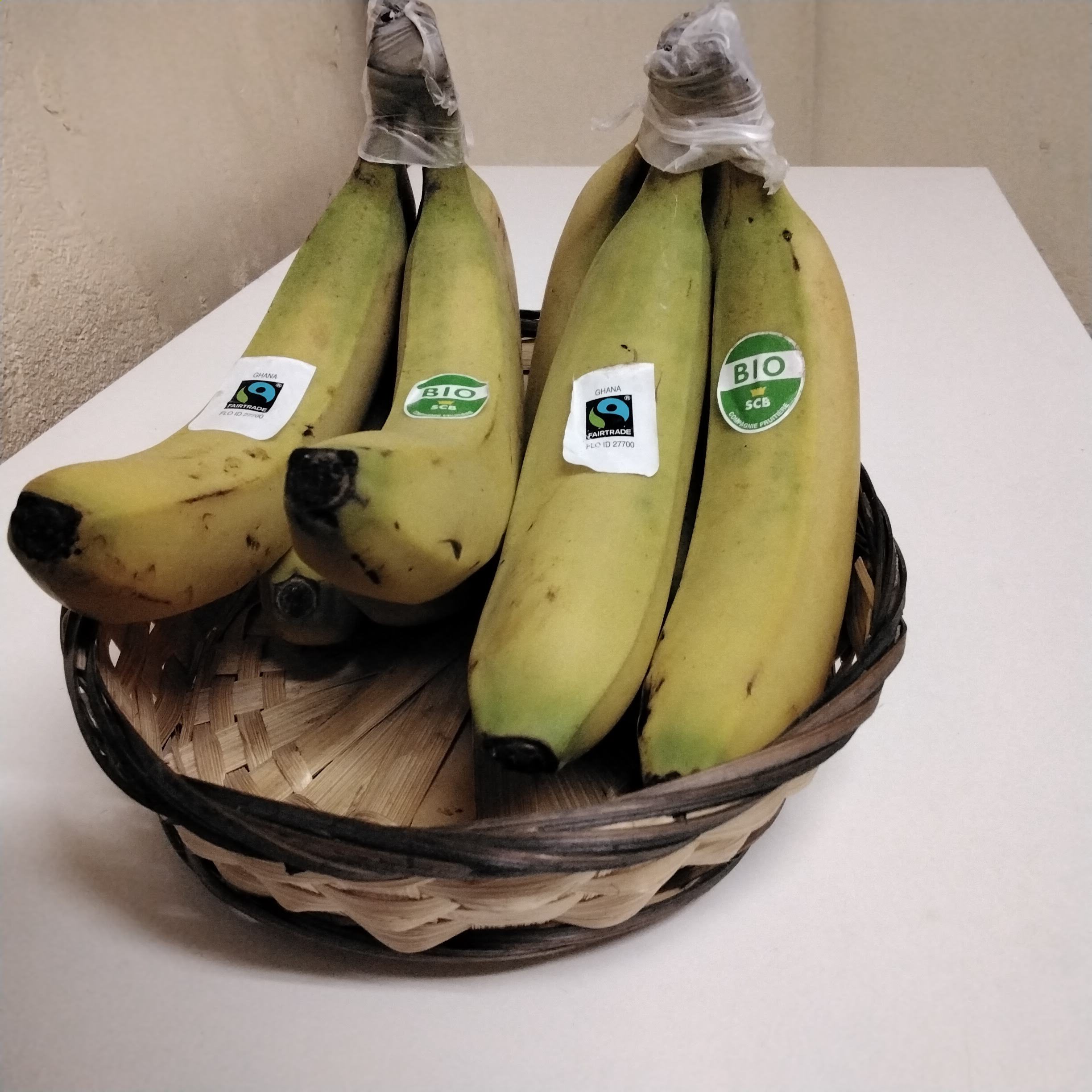Bananes BIO - La Jardiniere de Calvisson